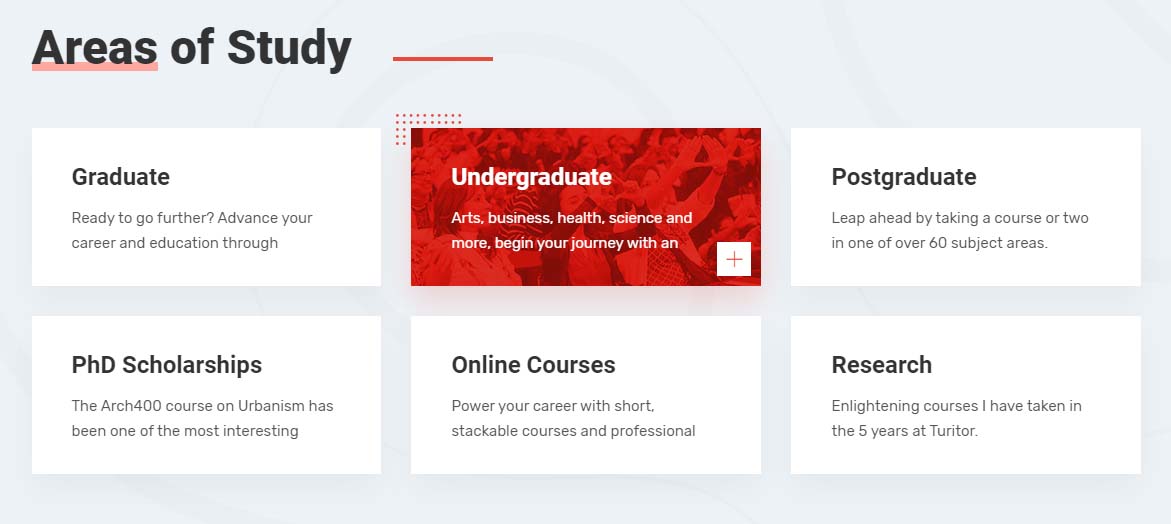 Essential features of the school and university website