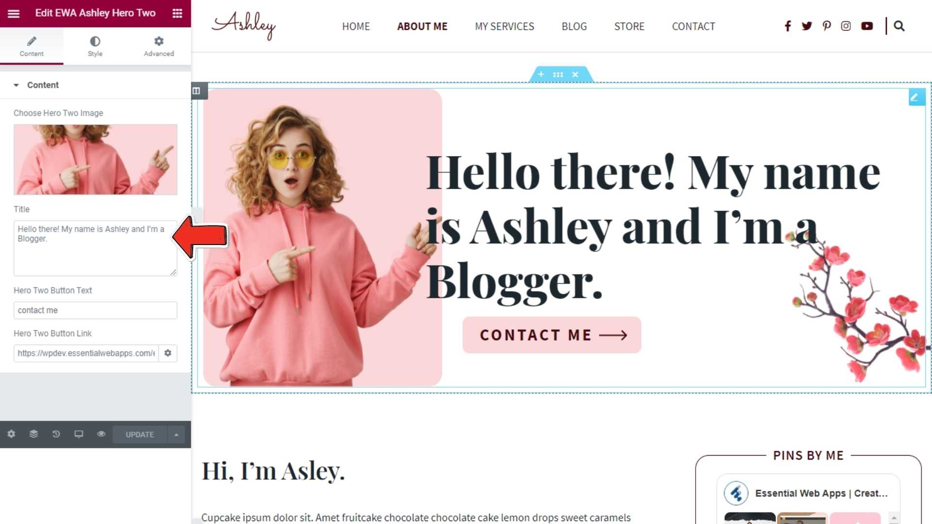 Ashley WordPress Theme Documentation - Essential Web Apps