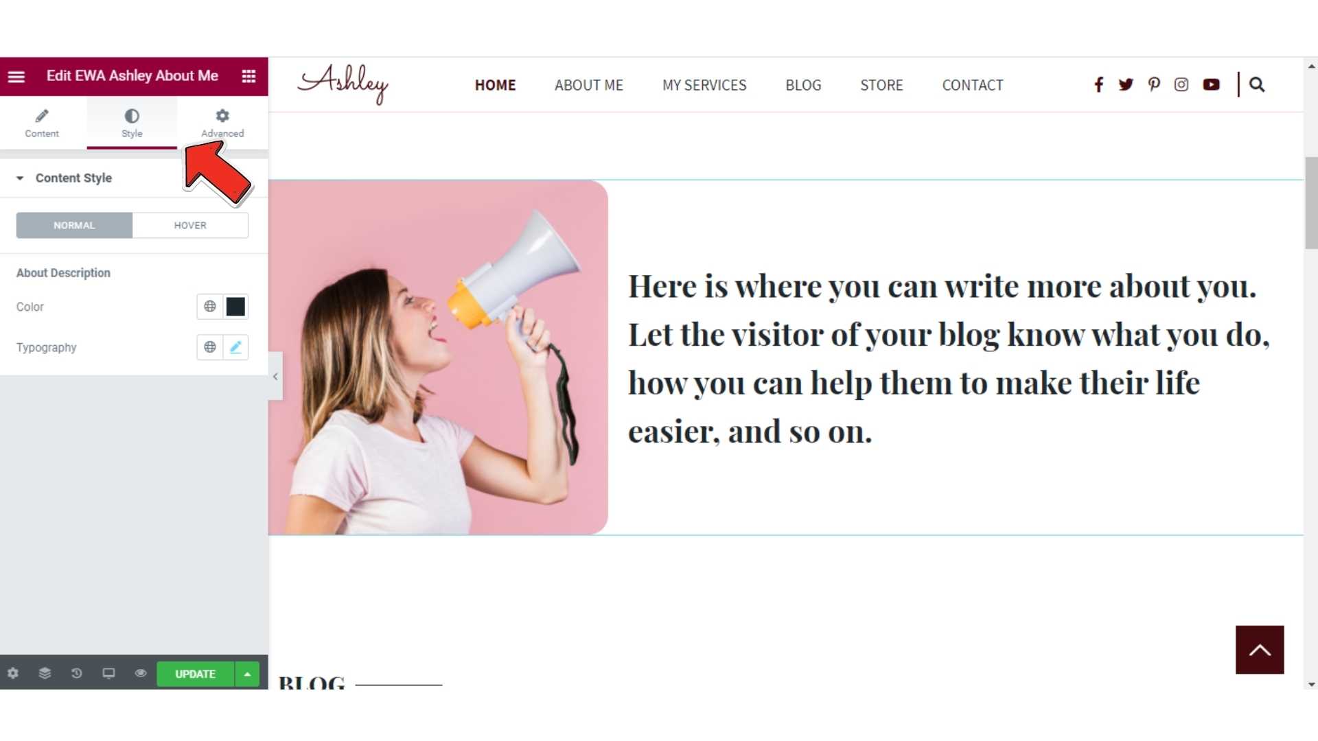Ashley WordPress Theme Documentation - Essential Web Apps