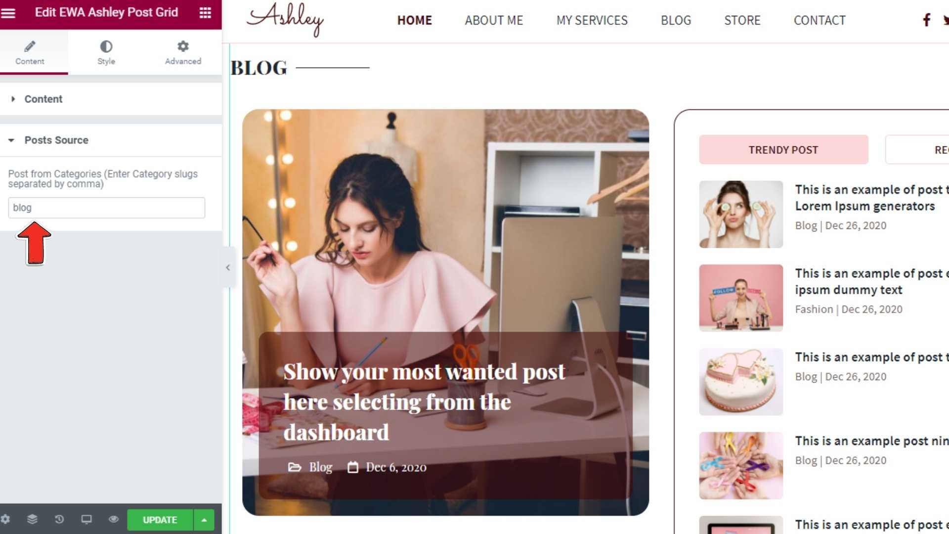 Ashley WordPress Theme Documentation - Essential Web Apps