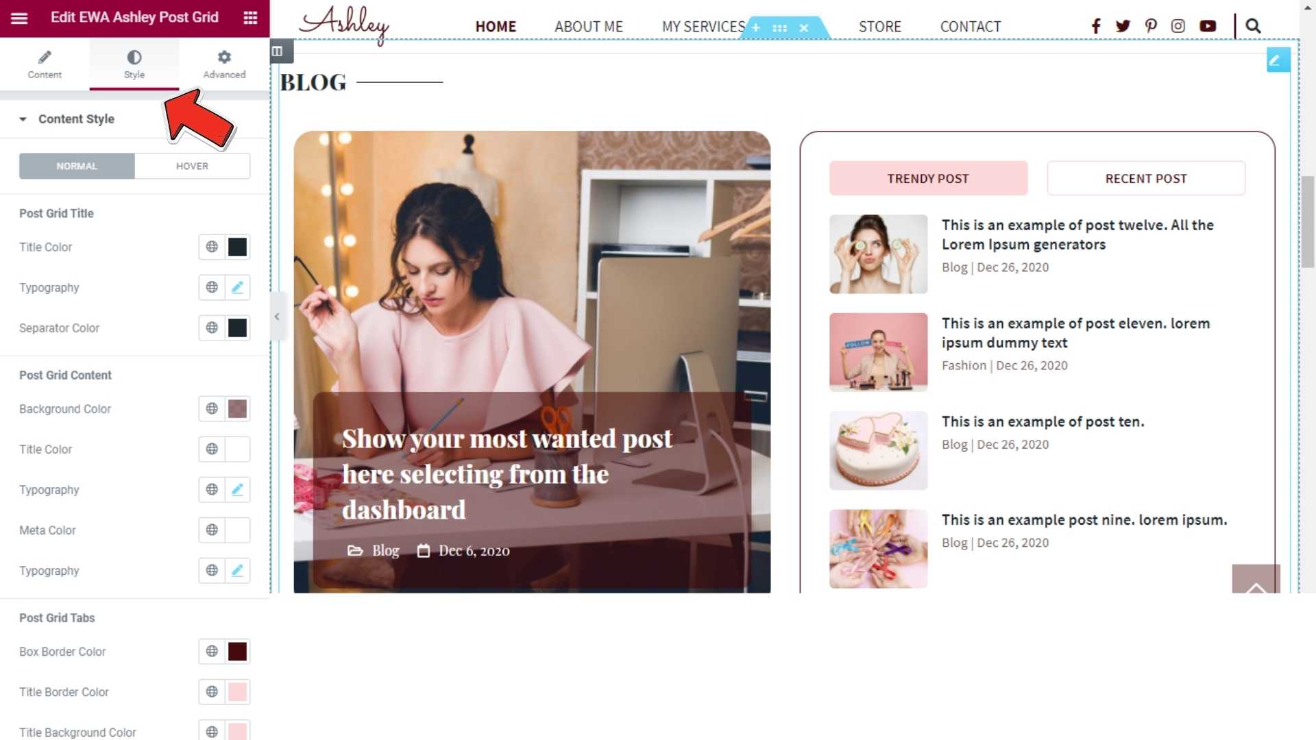 Ashley WordPress Theme Documentation - Essential Web Apps