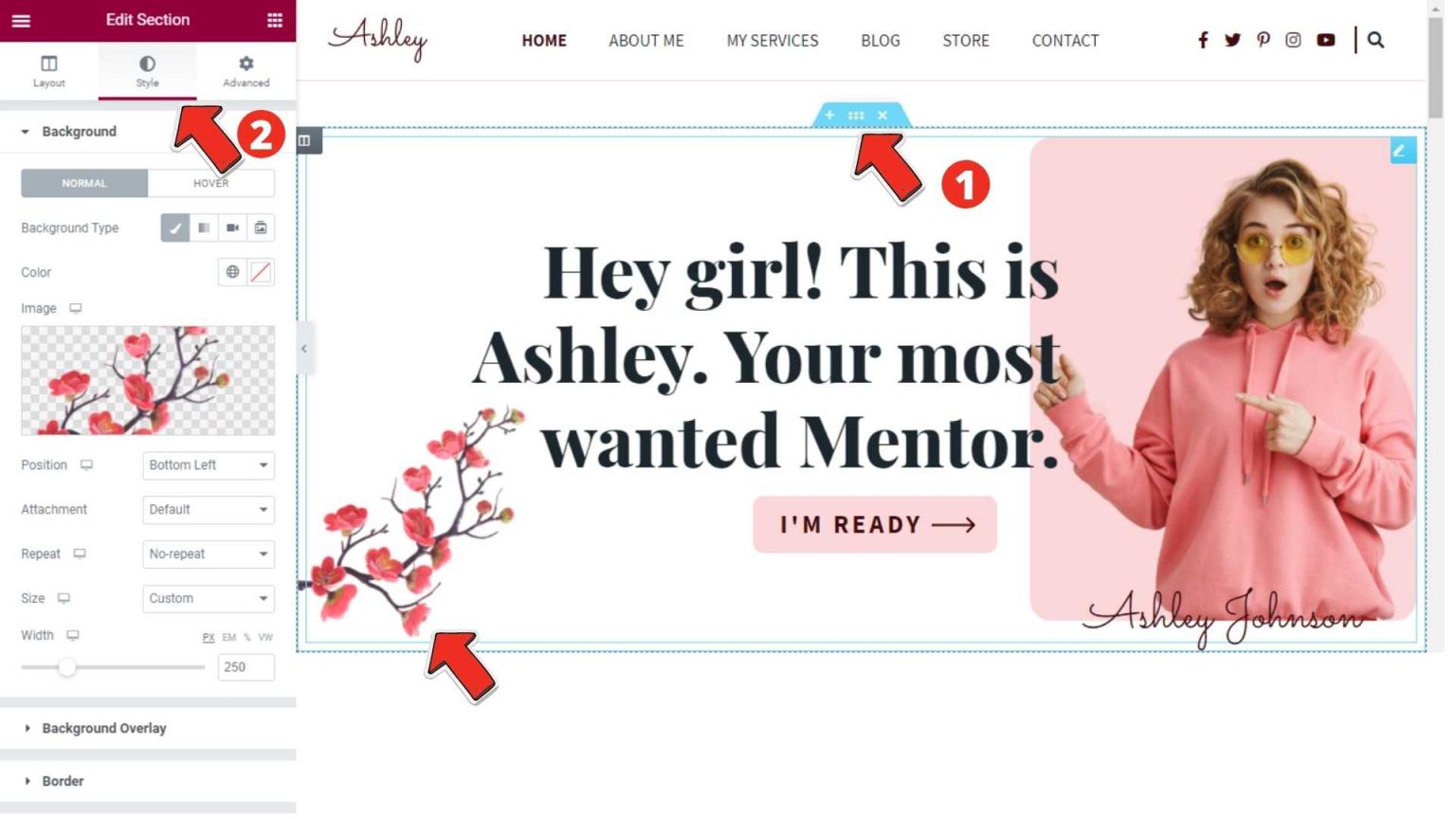 Ashley WordPress Theme Documentation - Essential Web Apps