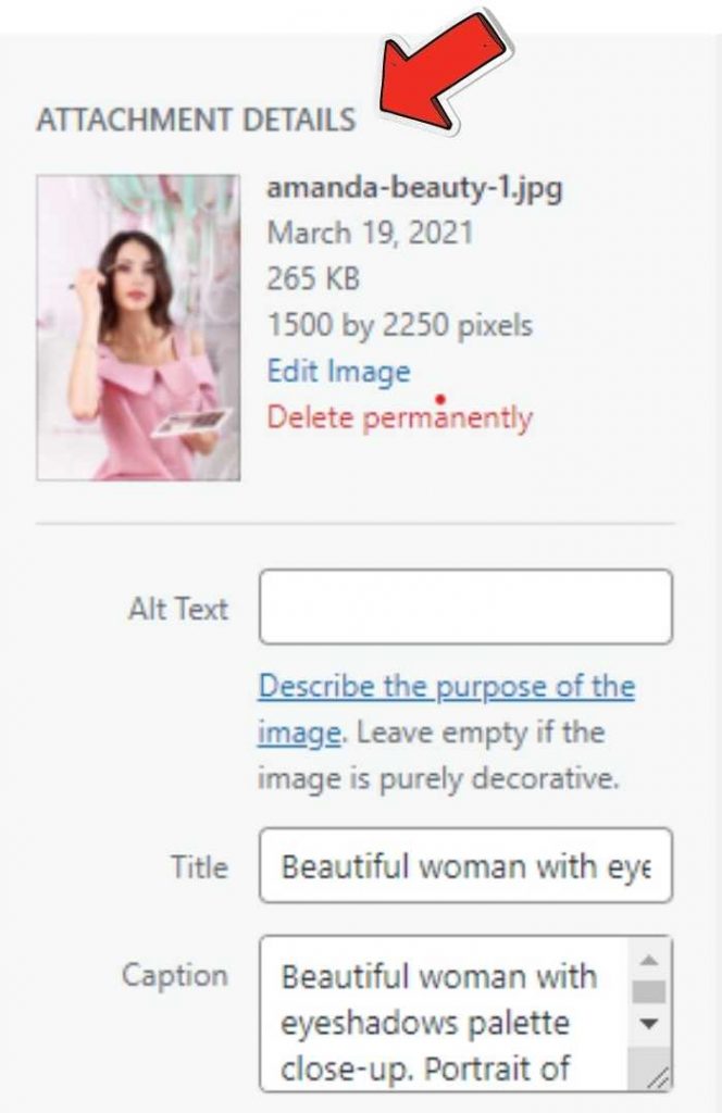 WordPress Basic Documentation by Essential Web Apps - Essential Web Apps