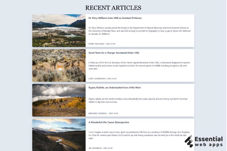10+ Tailwind CSS Card (latest collection) - Essential Web Apps